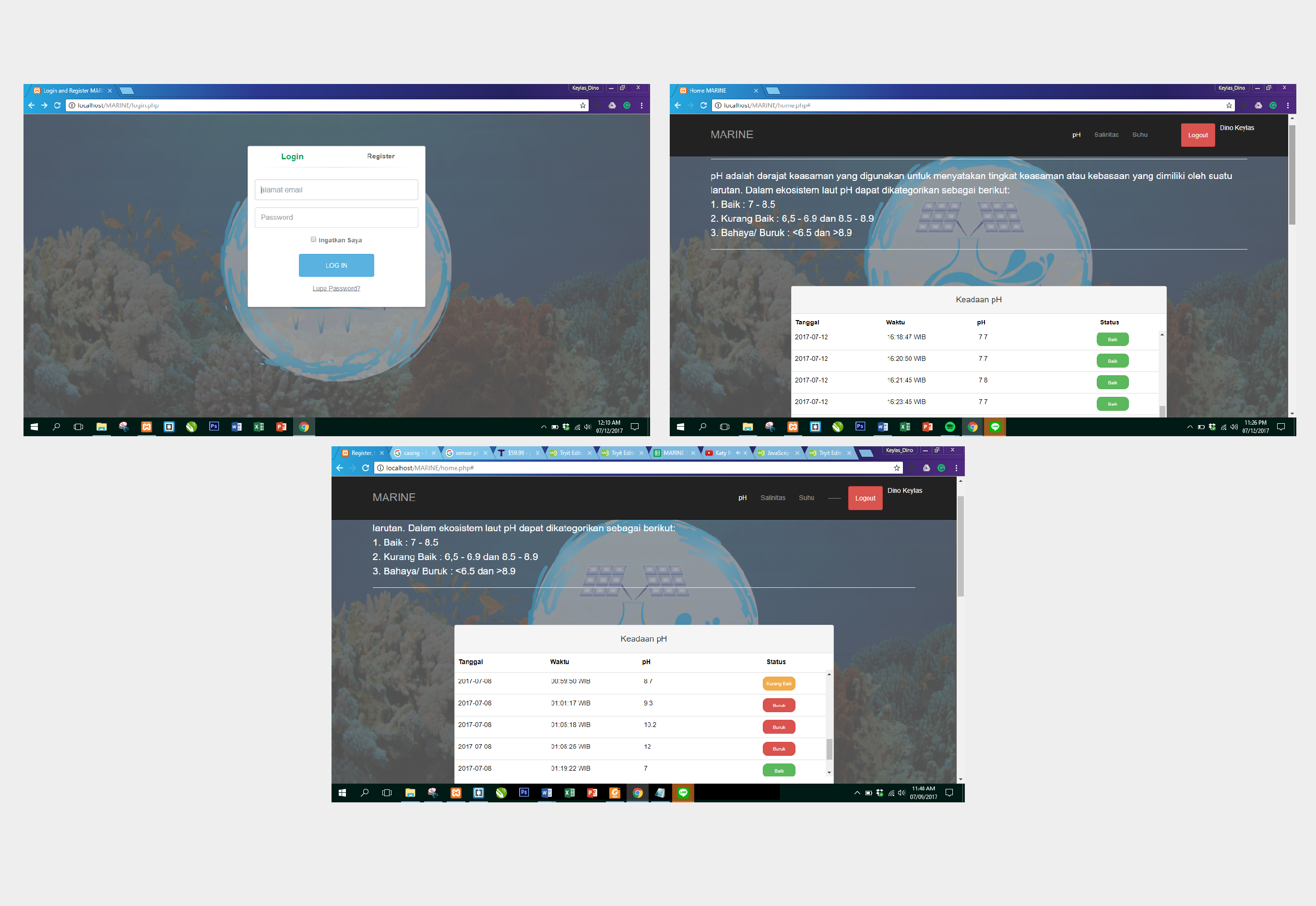 Dino's Page | MARINE